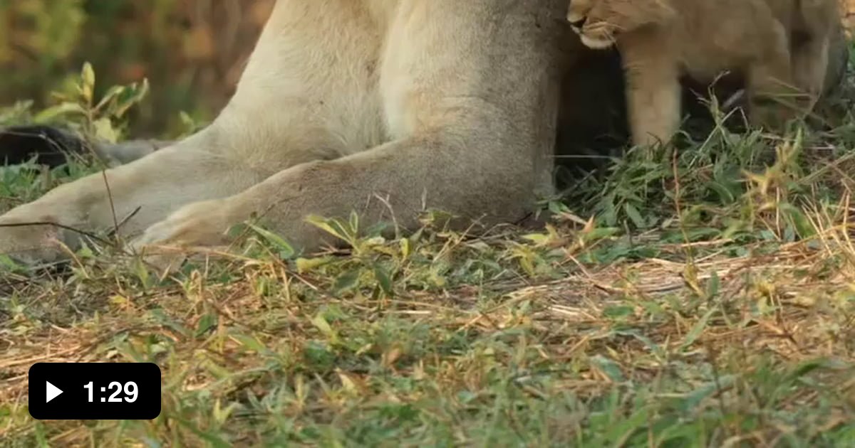 Mom's feeling a bit grumpy - 9GAG