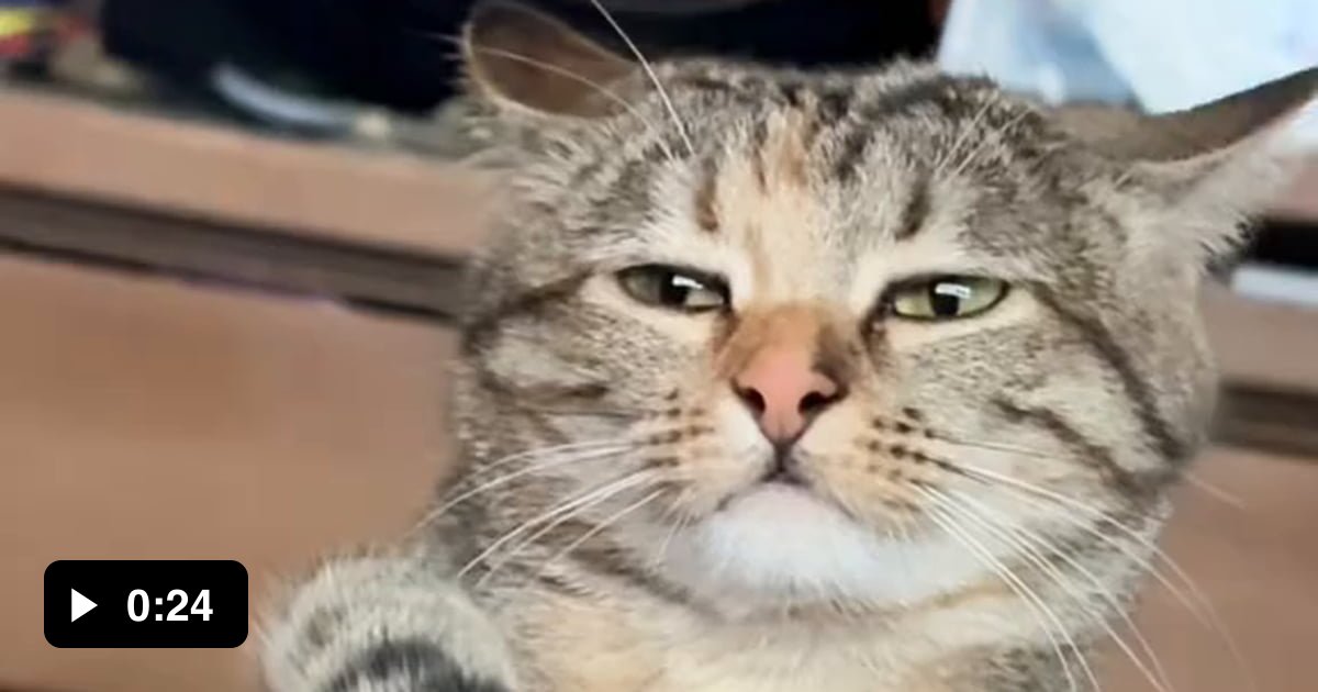 Discombobulate - 9GAG