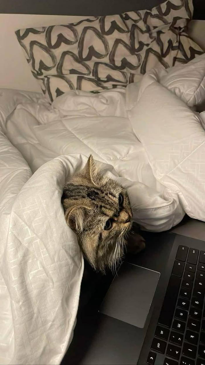 WFH Coder working from bed - 9GAG
