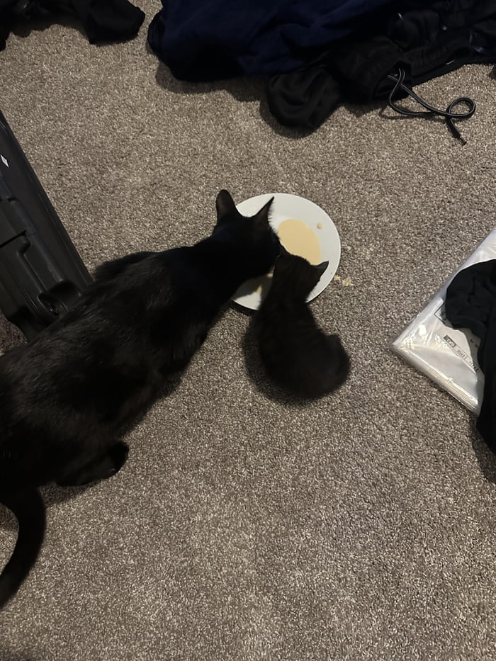 Smol voidling with full sized void for reference - 9GAG