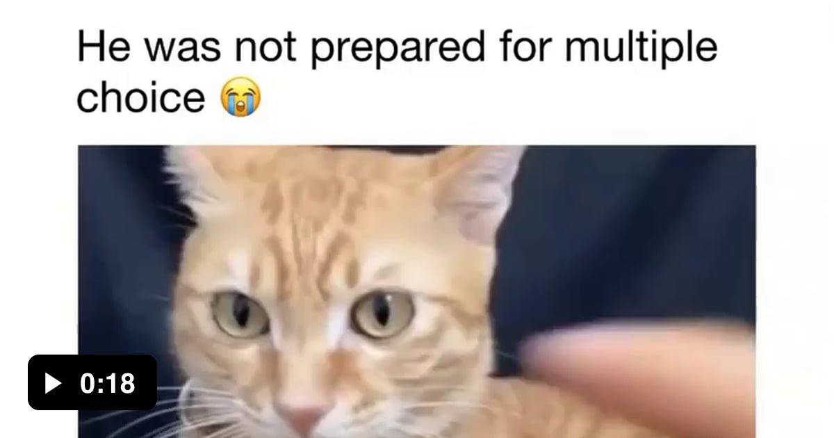 Multiple choice.. lol - 9GAG