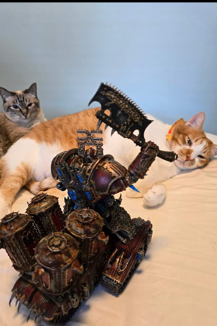 Crop? Bite me Tau f**ker. - 9GAG