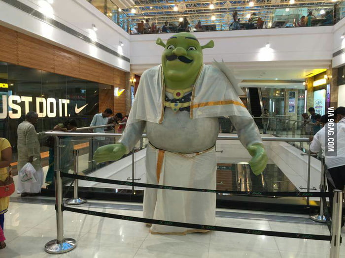 If shrek was from South India - 9GAG