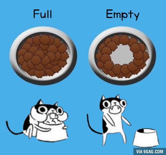 Cat logic - 9GAG