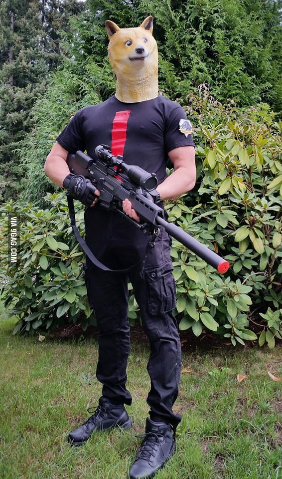 Doge Task Force and Specials Operations. - 9GAG
