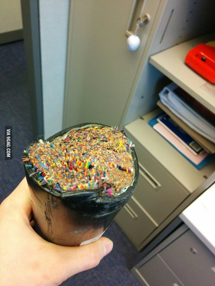 This giant cable stuffed with hundreds of wires. - 9GAG