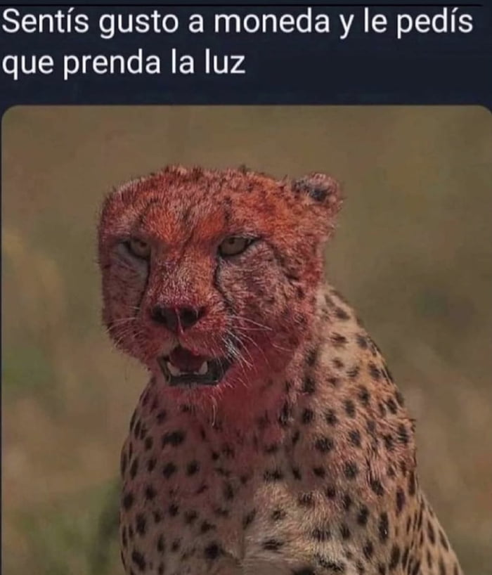 Olor a moneda - 9GAG