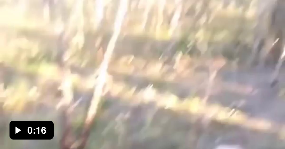 Soldier runs into tree for sport and regrets it - 9GAG