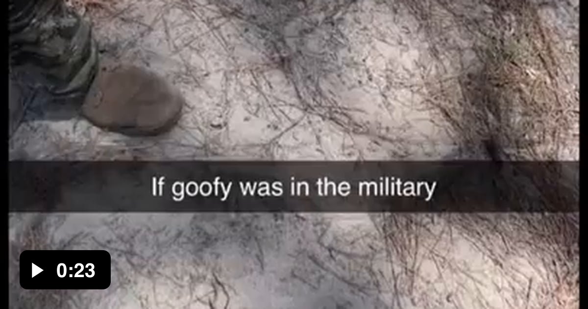 If goofy was in the military, CT @alfred.alfred28 - 9GAG