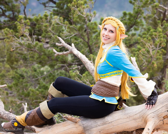 Princess Zelda from botw! - 9GAG