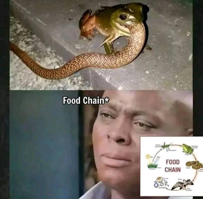 Bro Fo Real 9GAG bro-fo-real-9gag