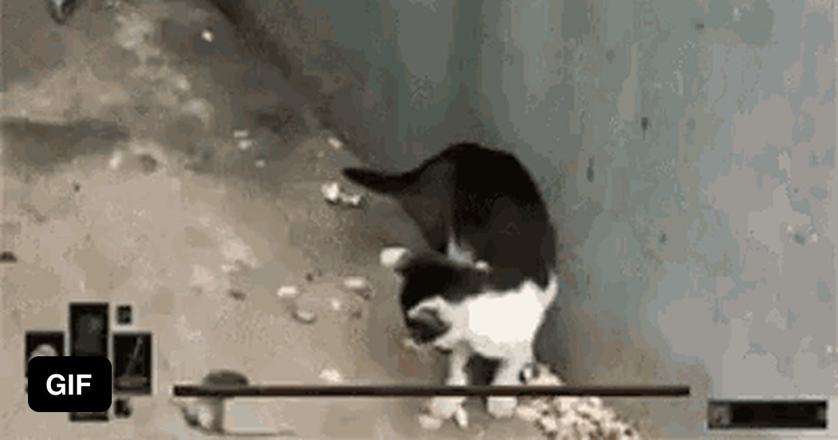 Fellow 9GAGers, I require help. I'm looking for a meme I saw yesterday ...