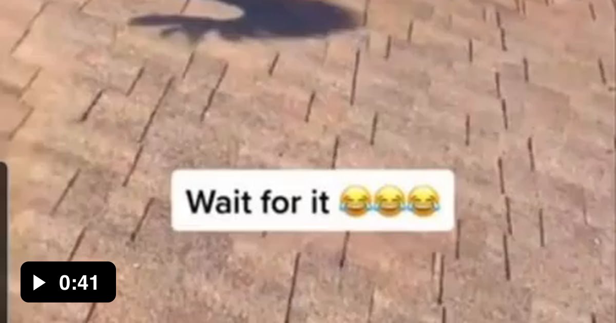 They are evolving. - 9GAG