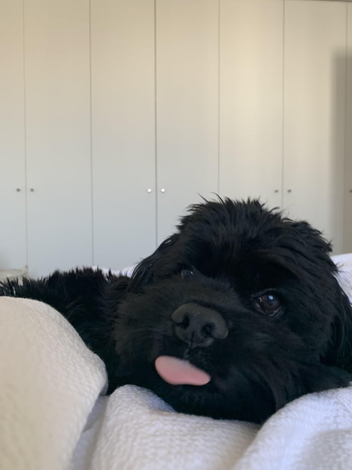 *blowing raspberries* - 9GAG