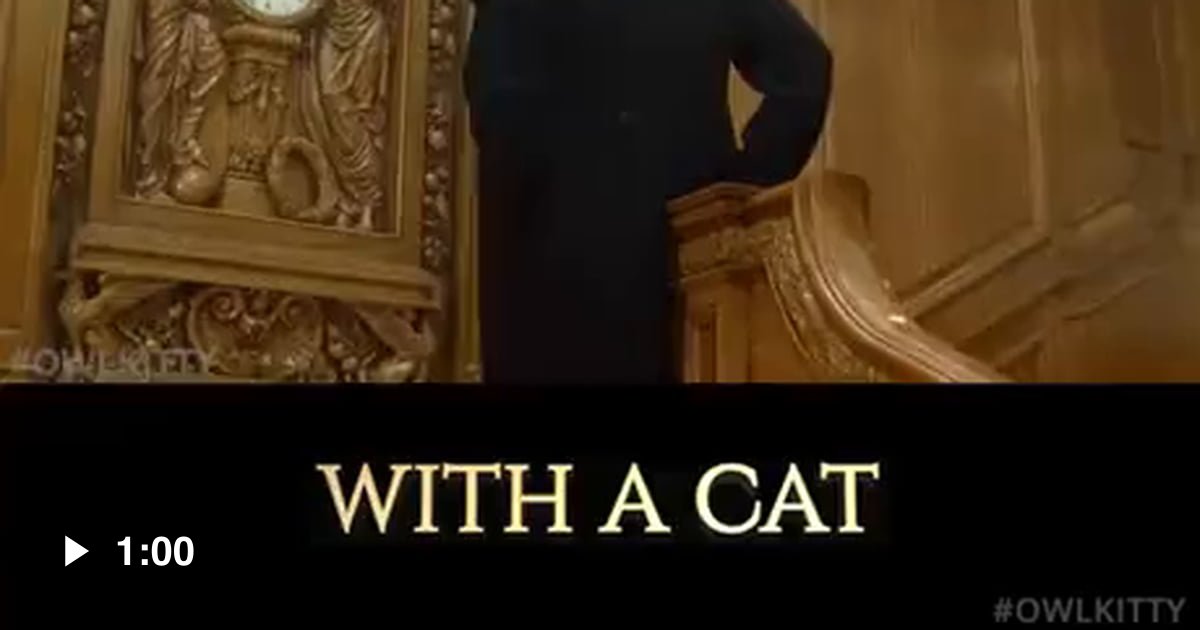 Purrrfect Love - 9GAG