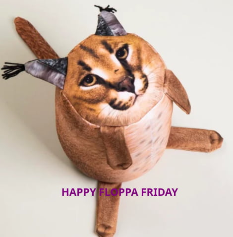 Floppa Friday! - 9GAG