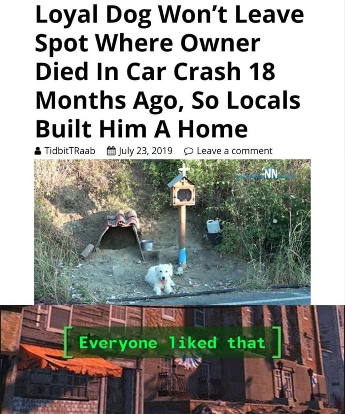 Wholesome local community - 9GAG