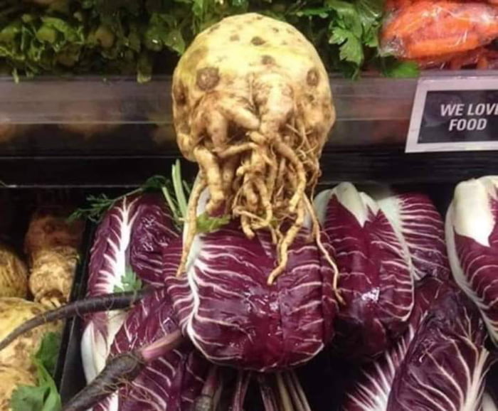 Vegetable alien, summoner of mutant vegetables - 9GAG