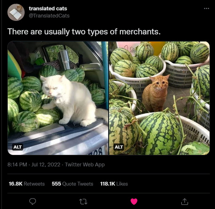 Two types of cat merchants - 9GAG