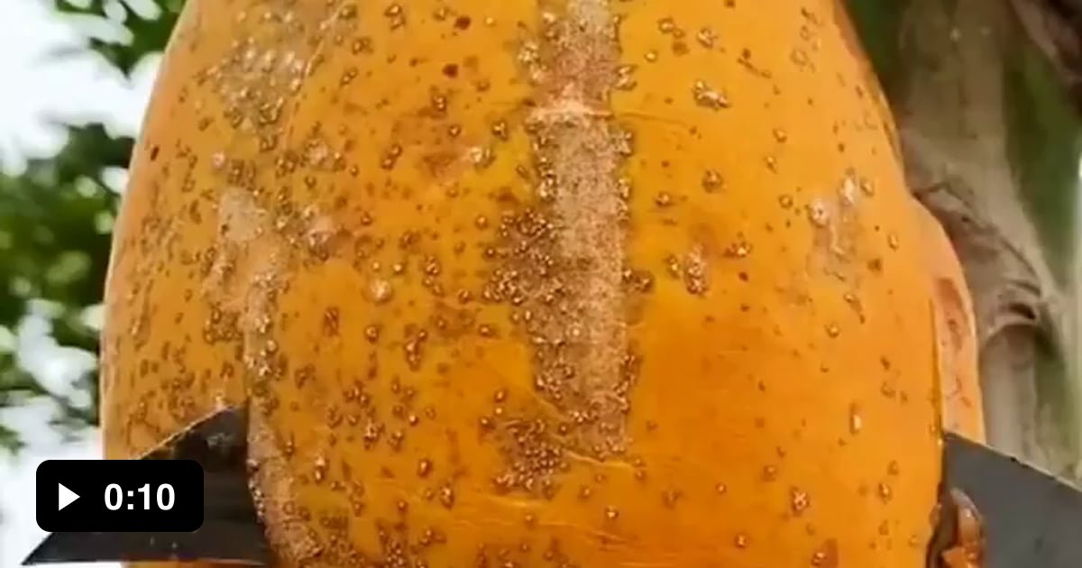 Grab me that fruit!!! - 9GAG