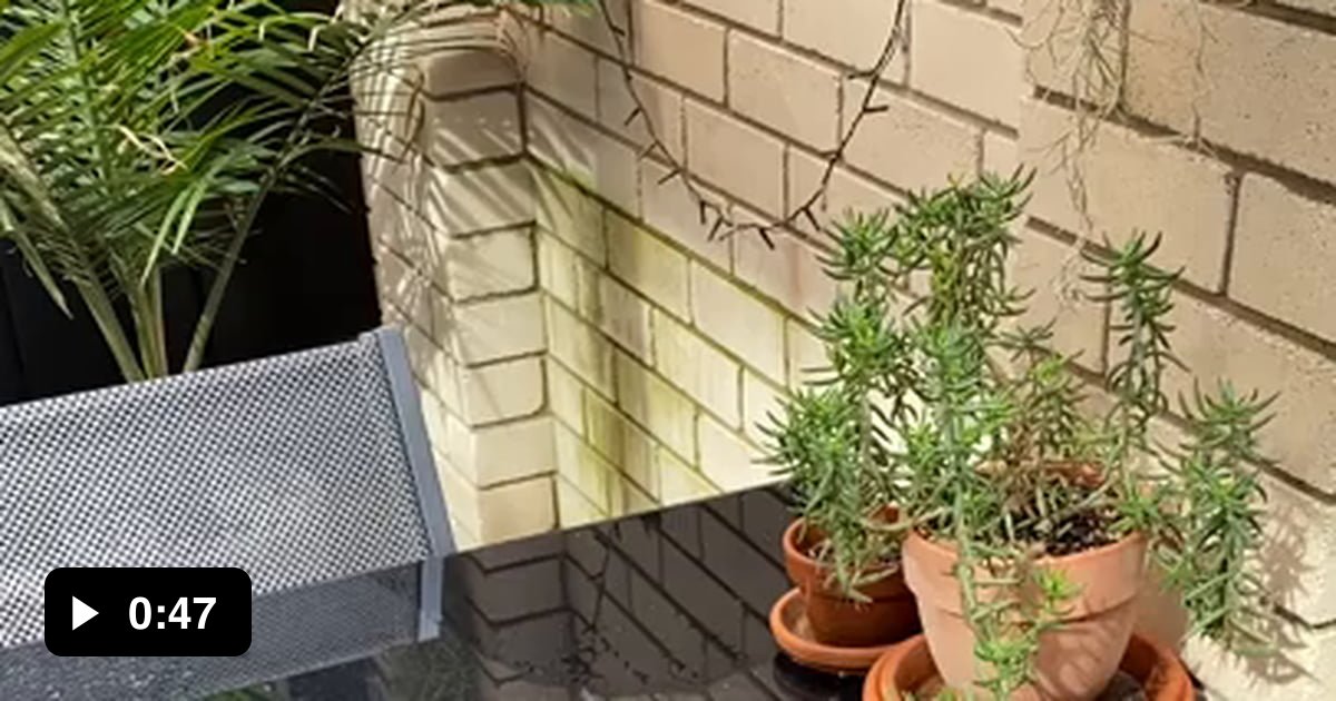 Cat.exe has crashed - 9GAG