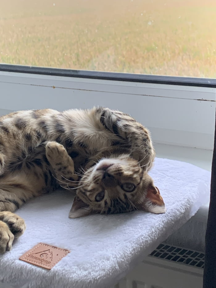 My Cutie 9gag