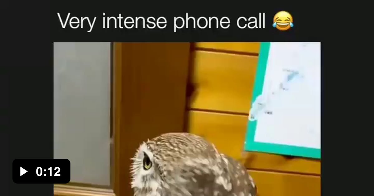 Phone call - 9GAG