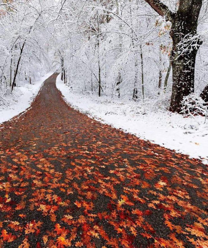 When fall meets winter at Foster Rhode Island. - 9GAG