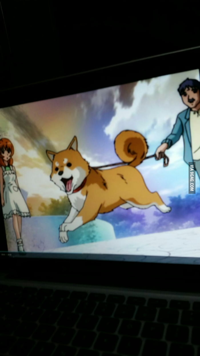 Anime doge - 9GAG