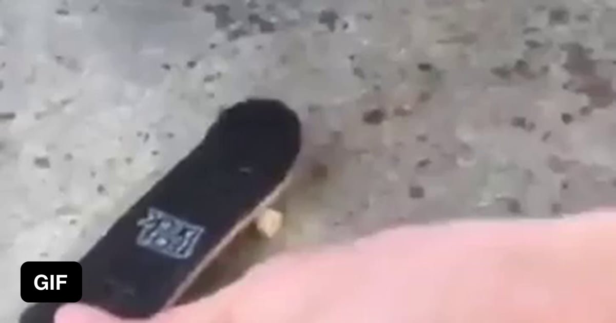 Tortoise having fun on a tech deck - 9GAG