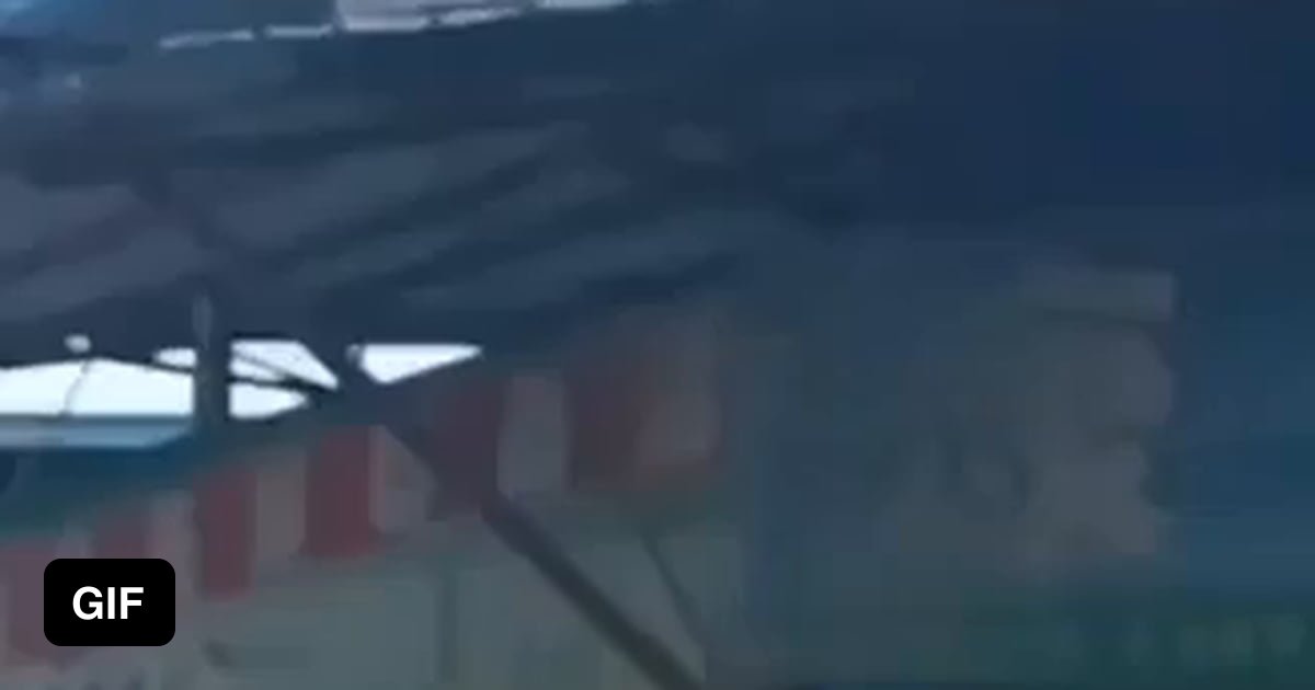 Cat falling off roof - 9GAG