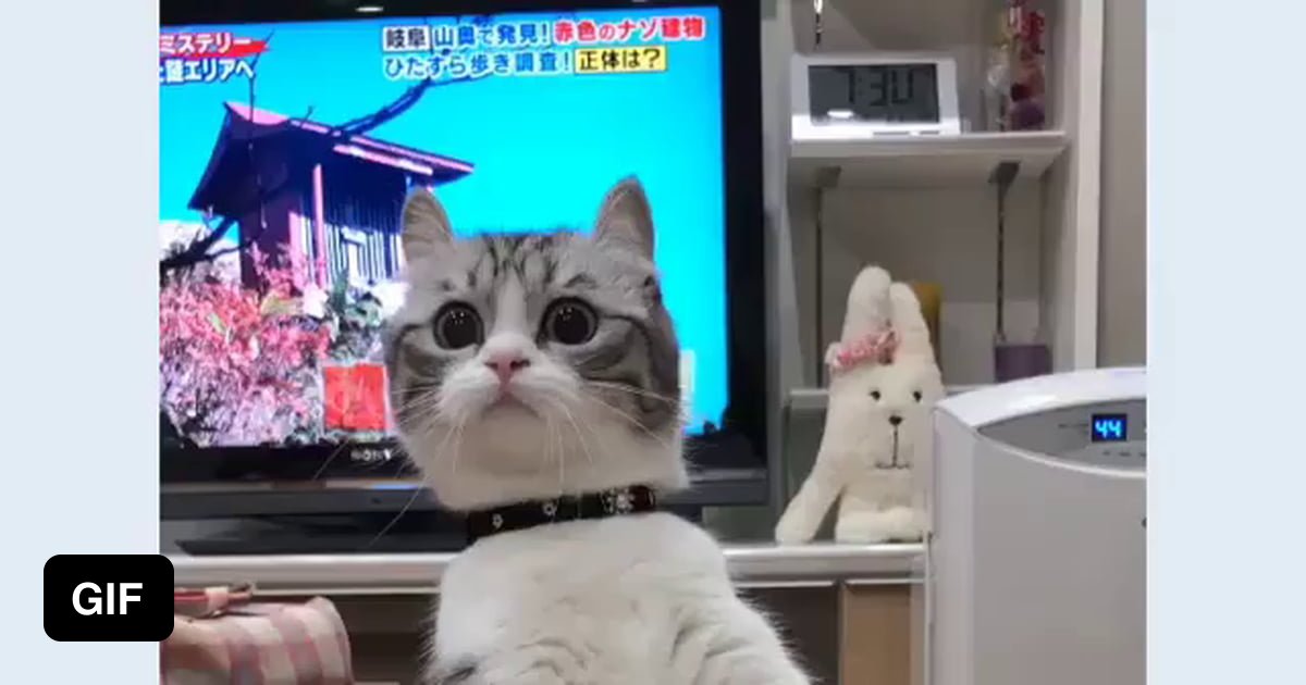 *Concern intensifies* - 9GAG