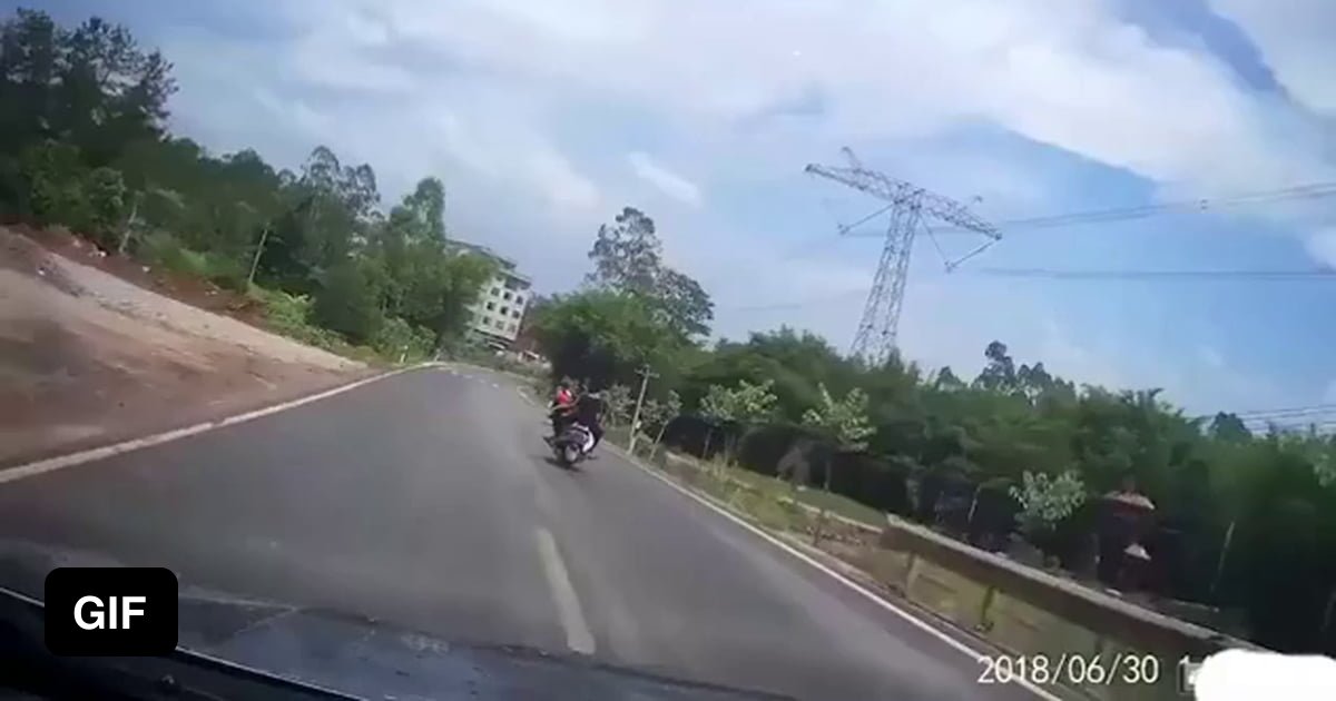 They keep multiplying - 9GAG