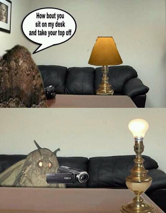 Whut The Fck ? - 9GAG