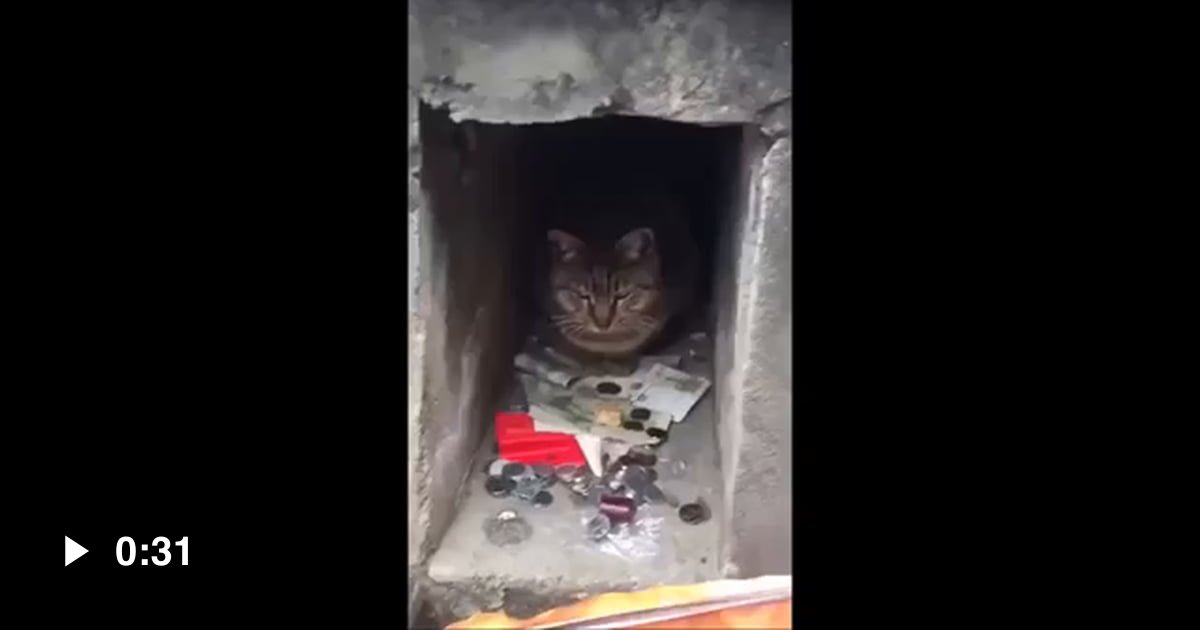 "Not enough cash, stranger!" - 9GAG