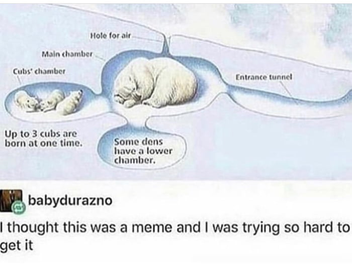 Can someone explain - 9GAG