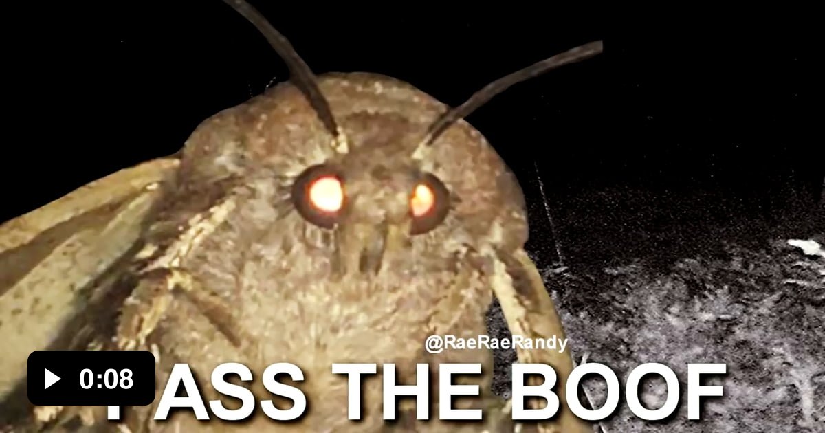 Pass the boof - 9GAG