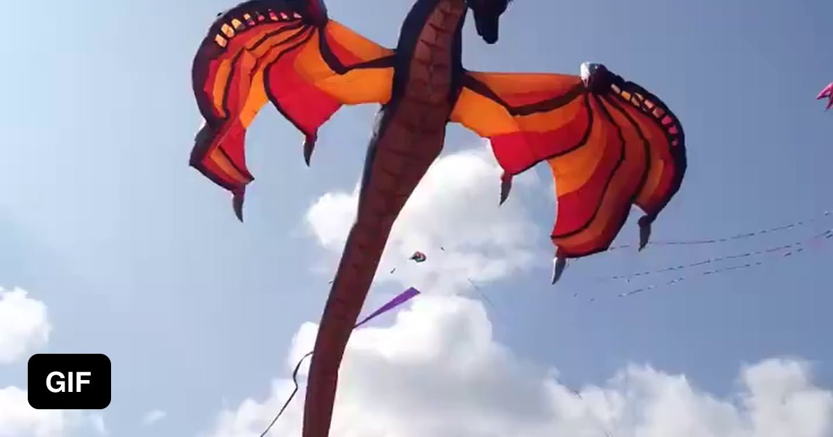 Coolest Kite ever - 9GAG
