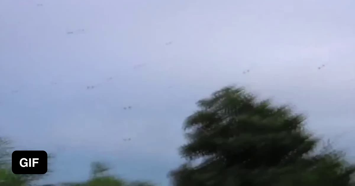 Oh hell nooo! - 9GAG