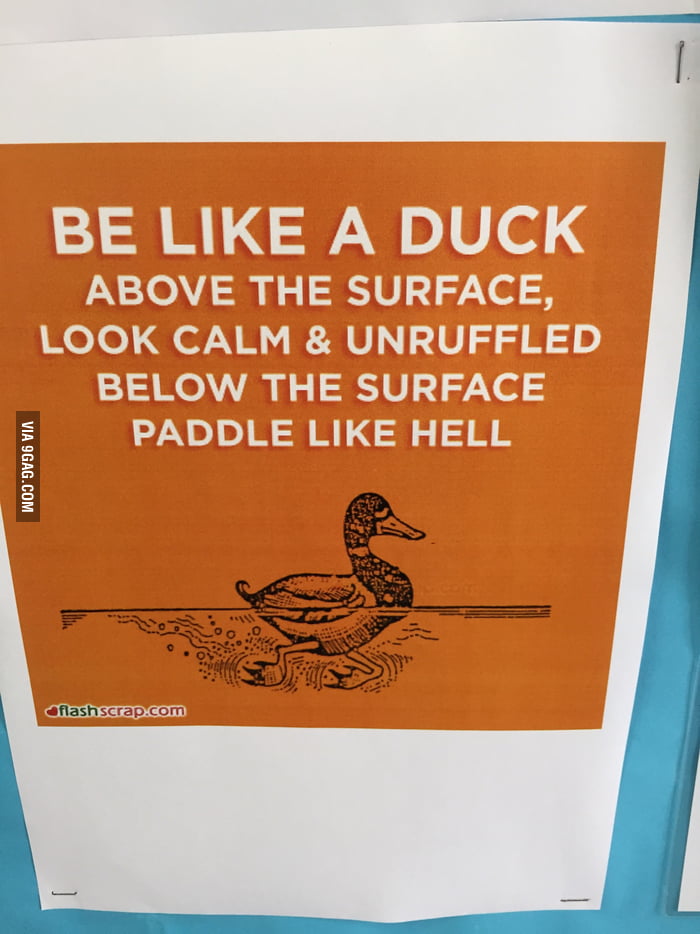 Our Class Motivation For Our Last Year In High School 9GAG