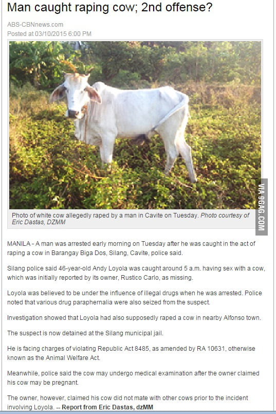 POOR COW! - 9GAG