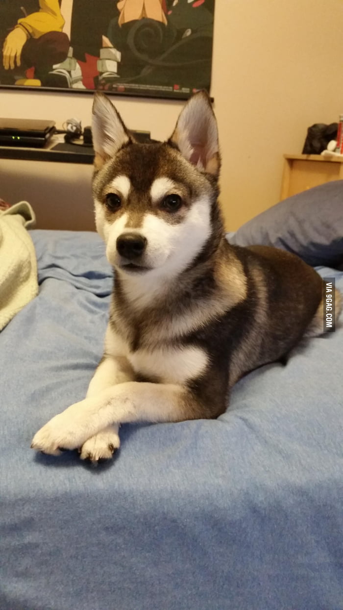 So tell me your problems. - 9GAG
