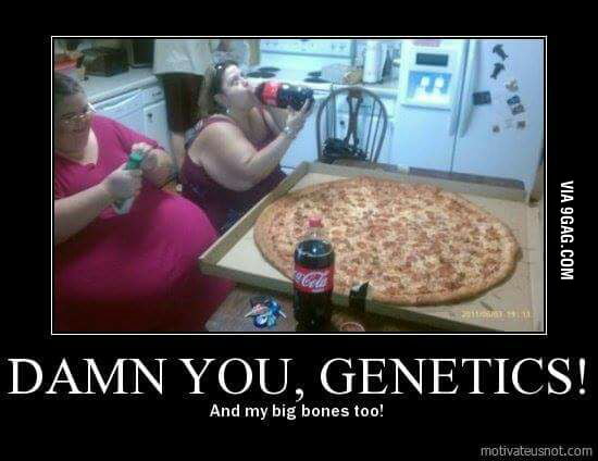 Lets trigger some fatties - 9GAG