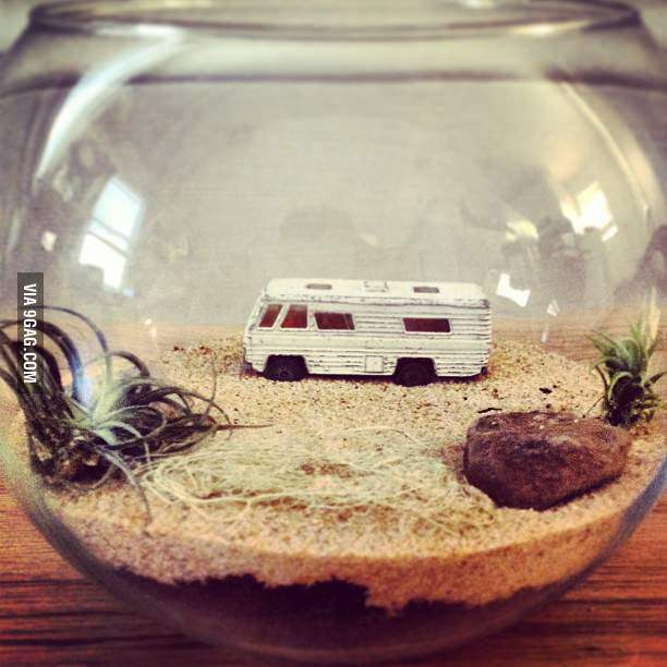 I made a Breaking Bad terrarium. - 9GAG