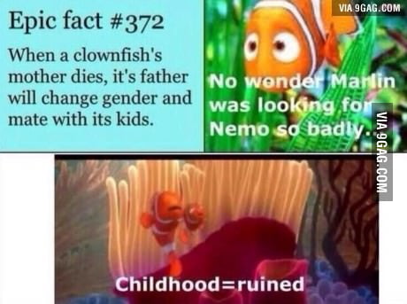 Nemo's dark secret - 9GAG