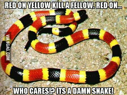 My reaction to the coral snake rhyme. - 9GAG