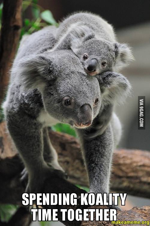 Koality Time - 9GAG