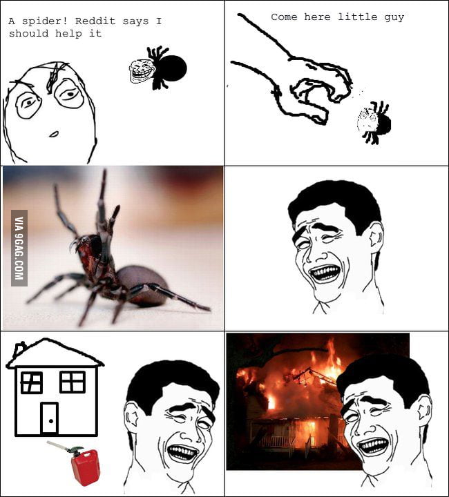 When there's a spider - 9GAG