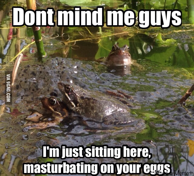 Forever alone frog - 9GAG