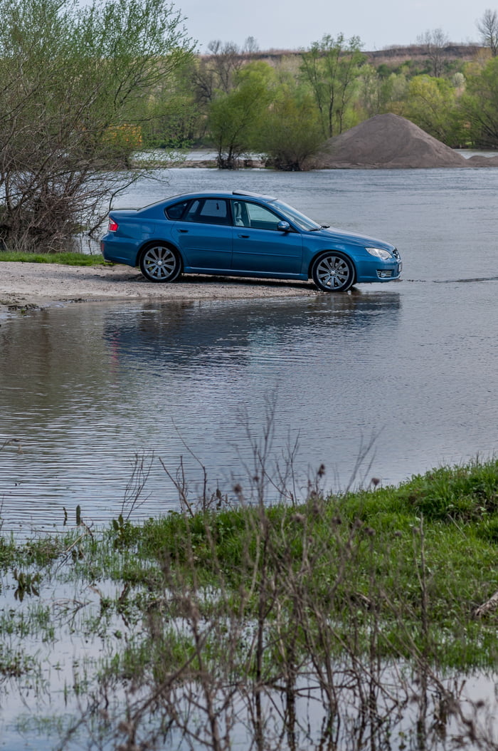 Rare picture of a wild car drinking from a river - 9GAG